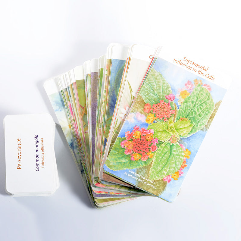 Buy BloomO! The Flower Game | Auroville.com – Auroville Online Store